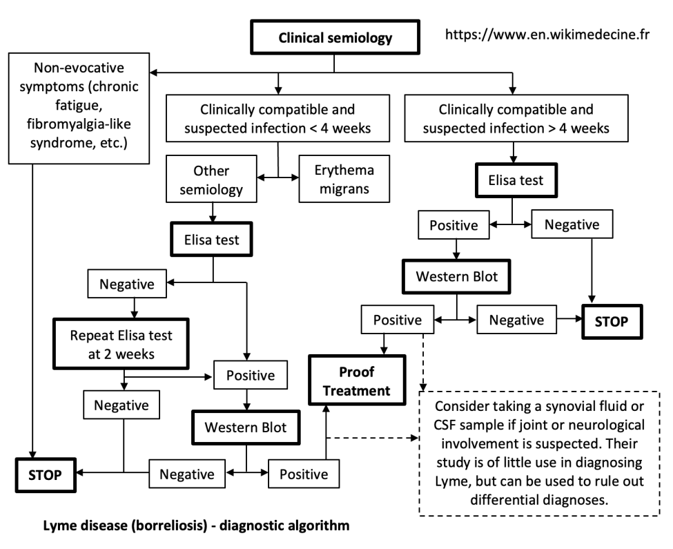 Neuroborreliosis (neurological effects of Lyme disease) - Wikimedicine